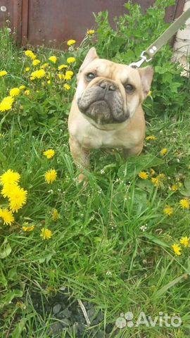 Для любви девчёночка