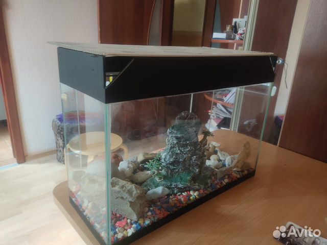 Аквариум с декором и грунтом