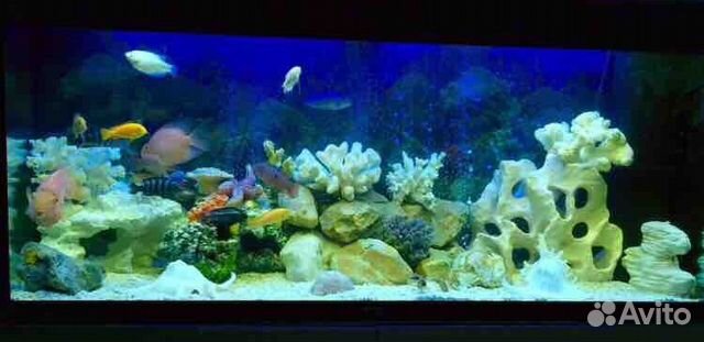 Аквариум Juwel Rio 240 (Германия) чёрный б/у