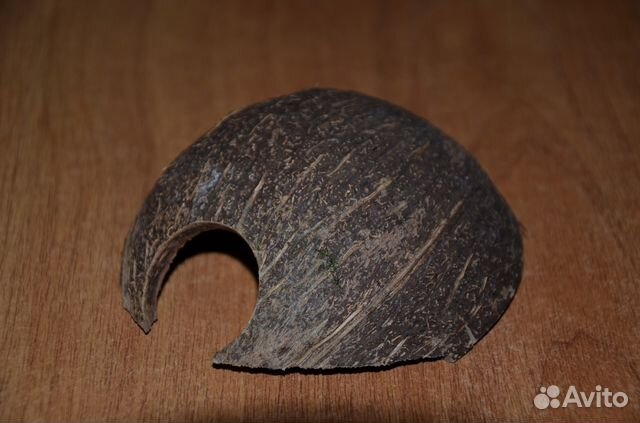 Грот из кокоса