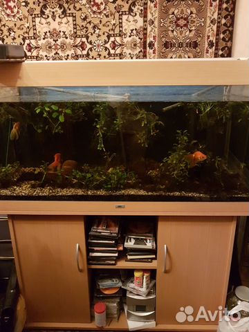 Продам бу аквариум Juwel 300 с оборудованием