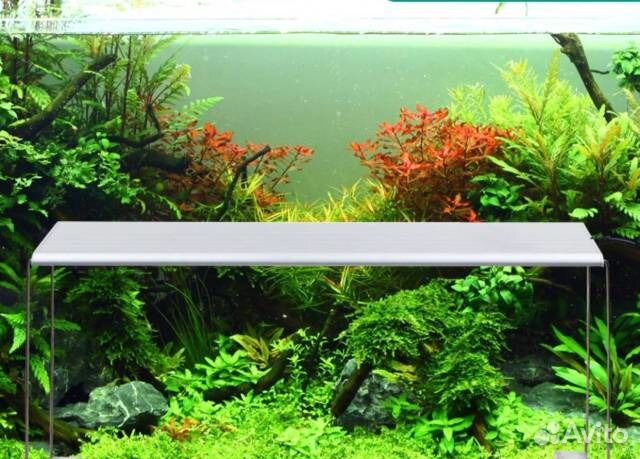 Светильники светодиодные