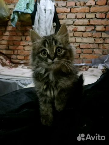 Красавчик