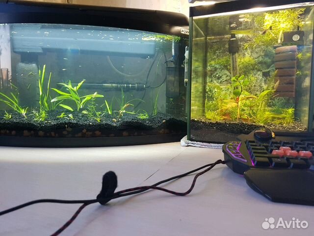 Аквариум Aquael на 60 и кубик 40 литров