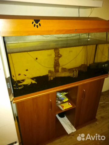 Аквариум с рыбками 250 литров