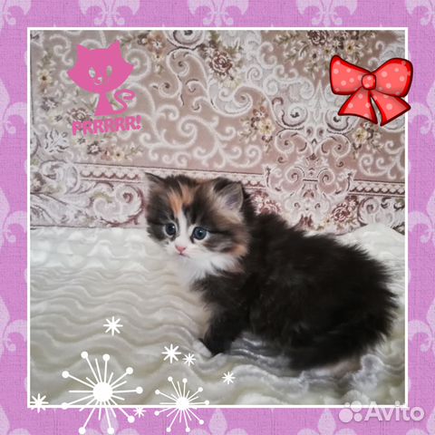 Девочка лапочка