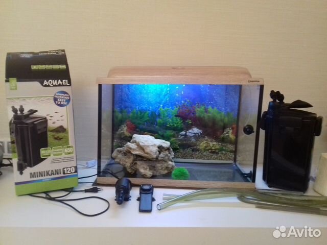 Аквариум