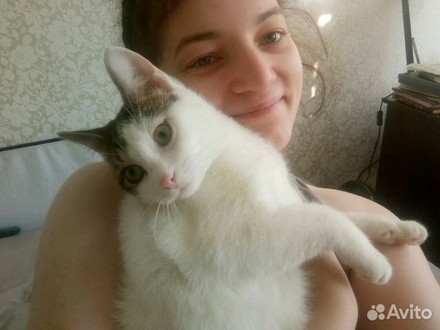 Отдам кота в добрые руки
