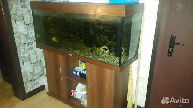 Аквариум с тумбой Juwel. 240л