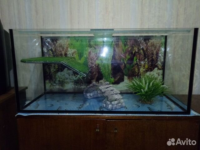 Аквариум-террариум +всё необходимое