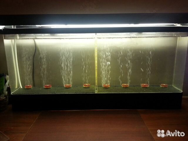 Аквариум ширма для торговли