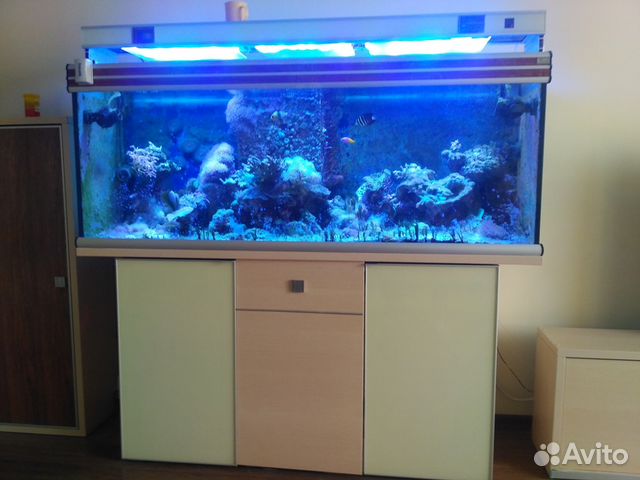 Морской аквариум