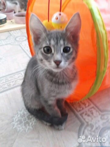 Ищу маму, которая меня полюбит