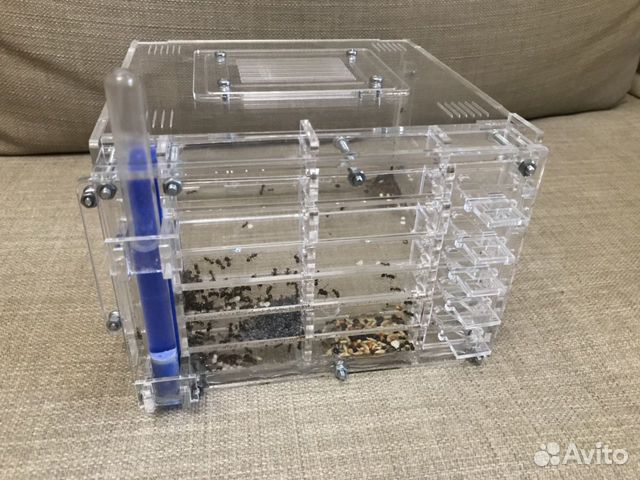 Формикарий Муравьиная ферма