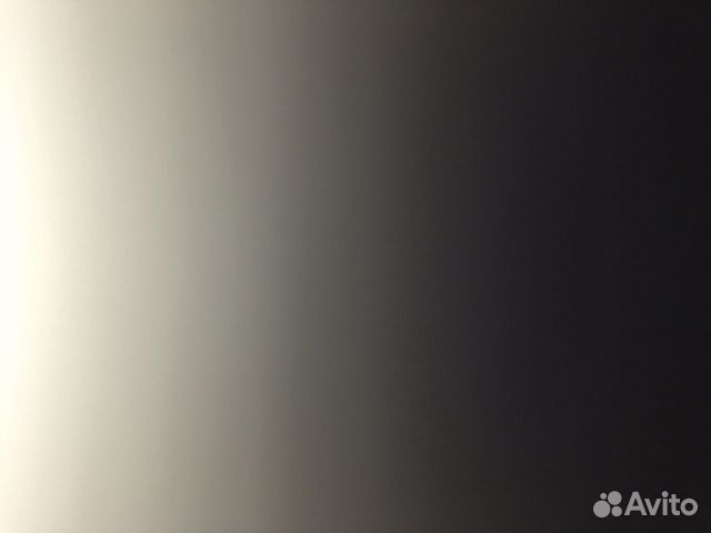 Крольчата карликовой породы