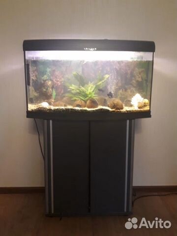 Аквариум 100 л с тумбой и фильтром и компрессором