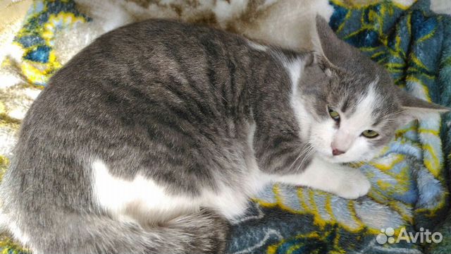 Самые добрые родители ау