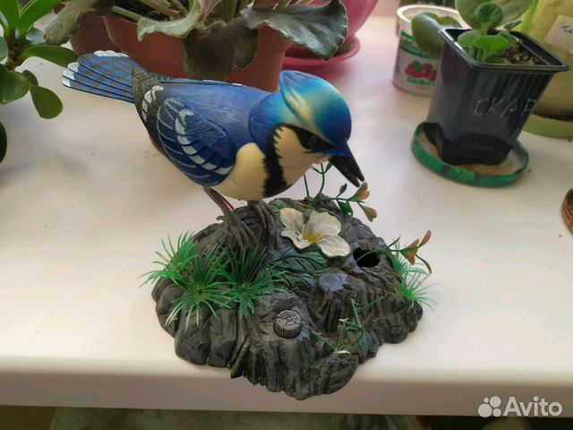 Птичка