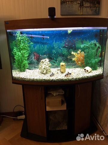 Аквариум BioDesign Panorama 350