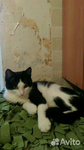 Девочка Мона