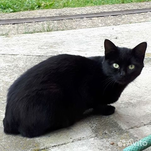 Ищем дом Авроре