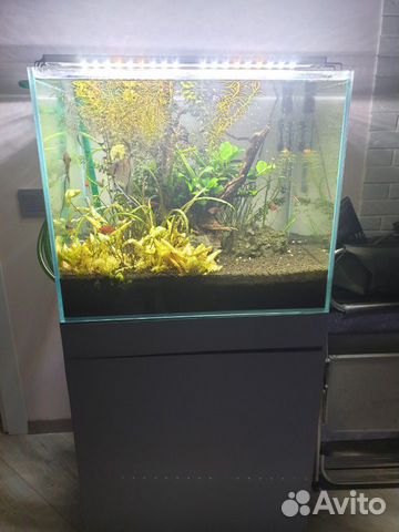 Аквариум optiwhite с тумбой