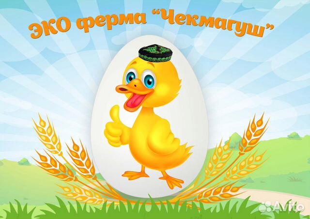 Яйцо инкубационное гусиное