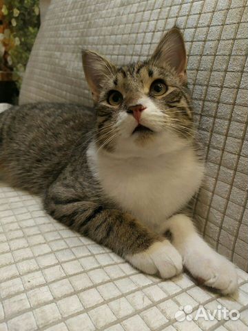 Эклер