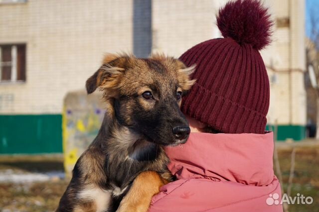 Грета ищет дом