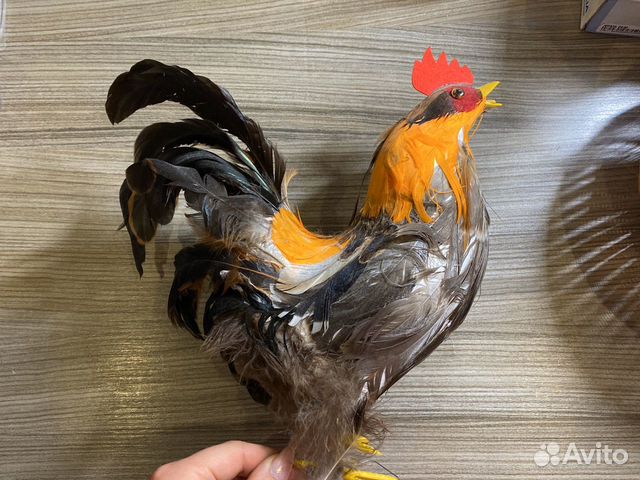 Стильный Петух Жора