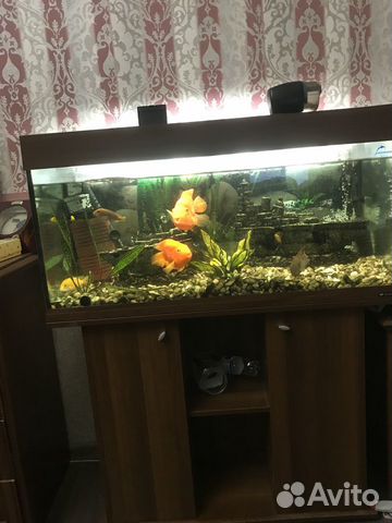 Аквариум 200 литров