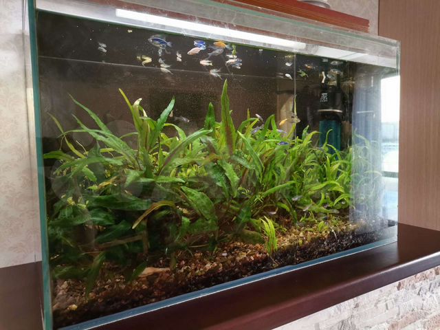 Аквариум 120л