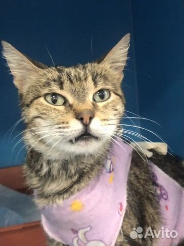 Крик о помощи