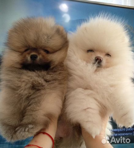 Очаровательные малыши