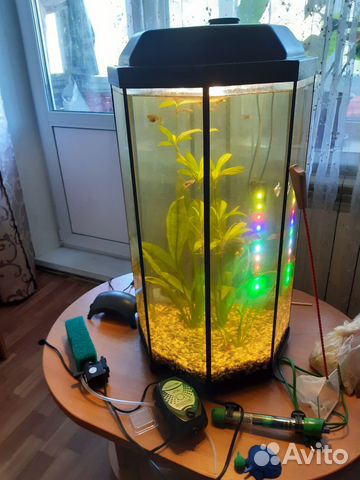 Аквариум с принадлежностями и рыбками