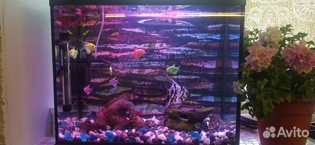 Аквариум 60л