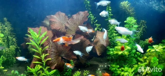 Украшение для аквариума