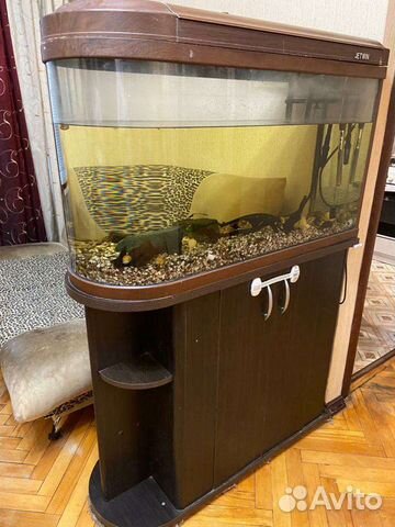 Аквариум jetwin с тумбой и фильтром