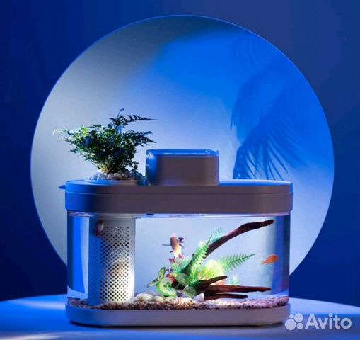 Аква-ферма Xiaomi