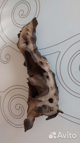 Коряга для аквариума. амазонка