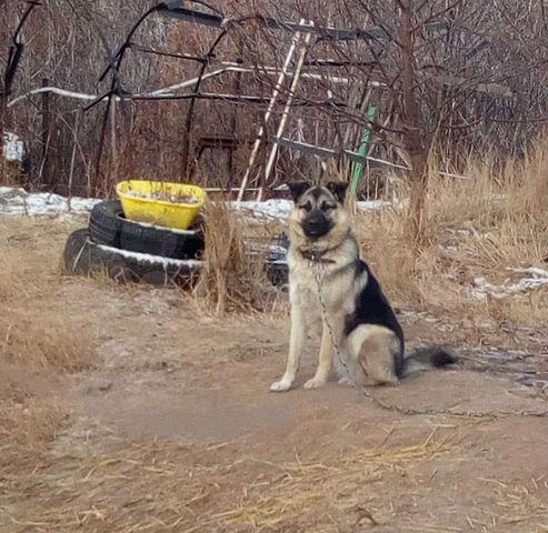 Найдочка ждёт Вас