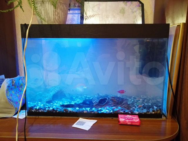 Аквариум