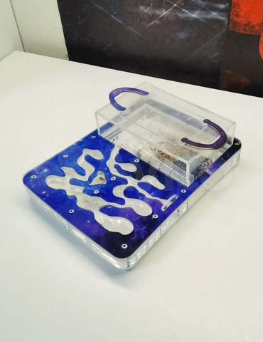 Муравьиная ферма с муравьями жнецами